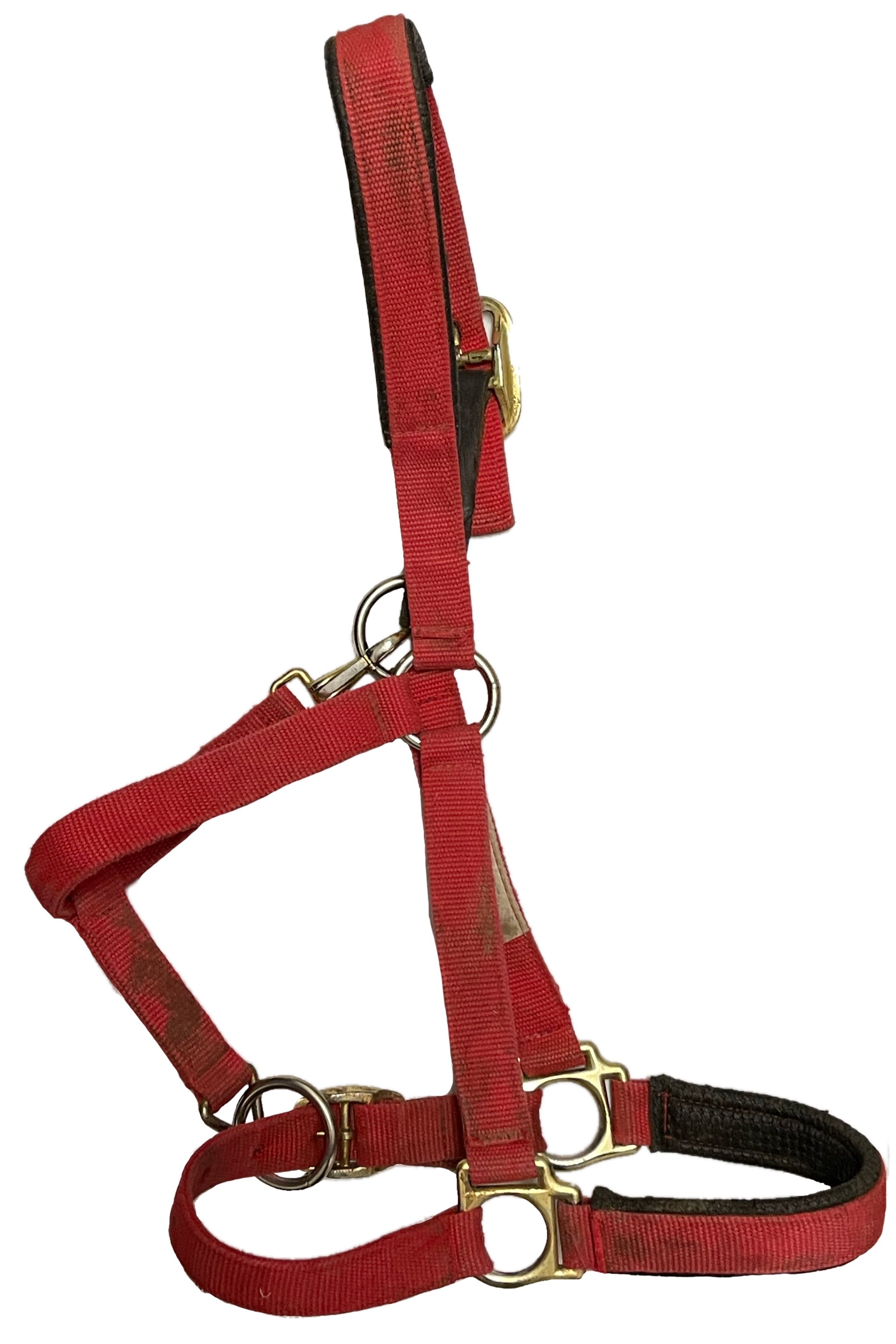 Store 2 — 2nd Round Equestrian