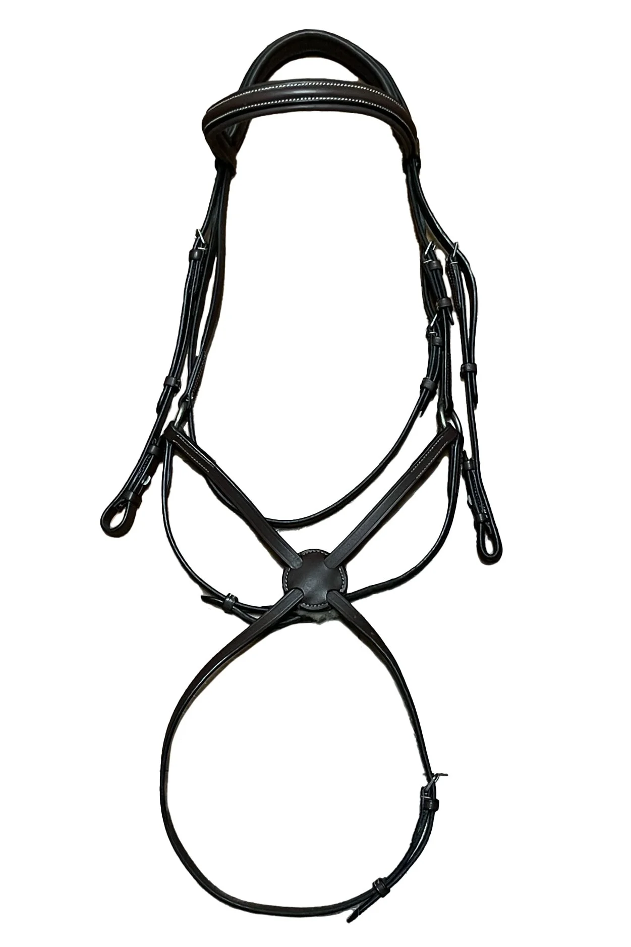 New Arrivals — 2nd Round Equestrian