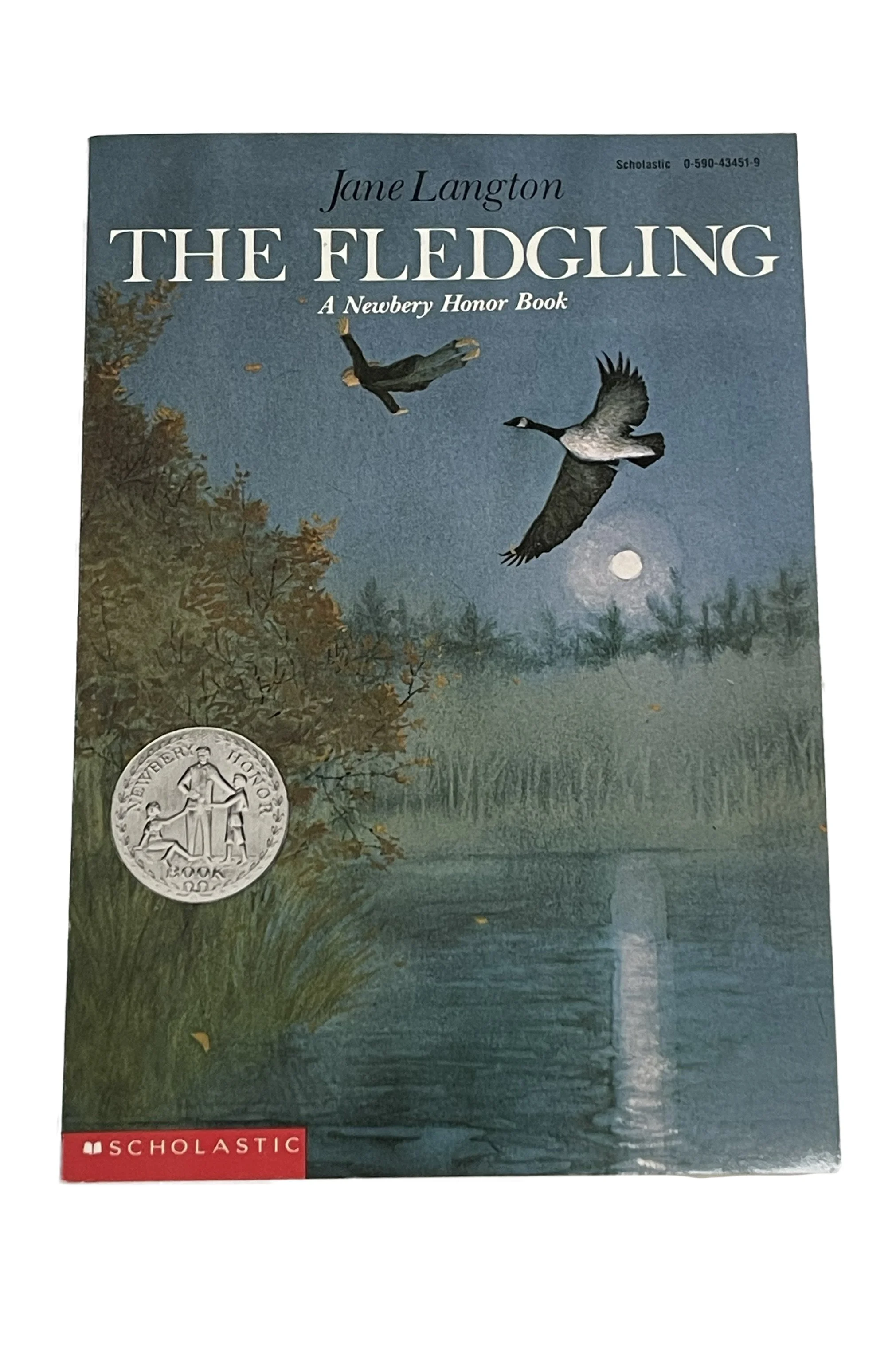 Store 2 — 2nd Round Equestrian