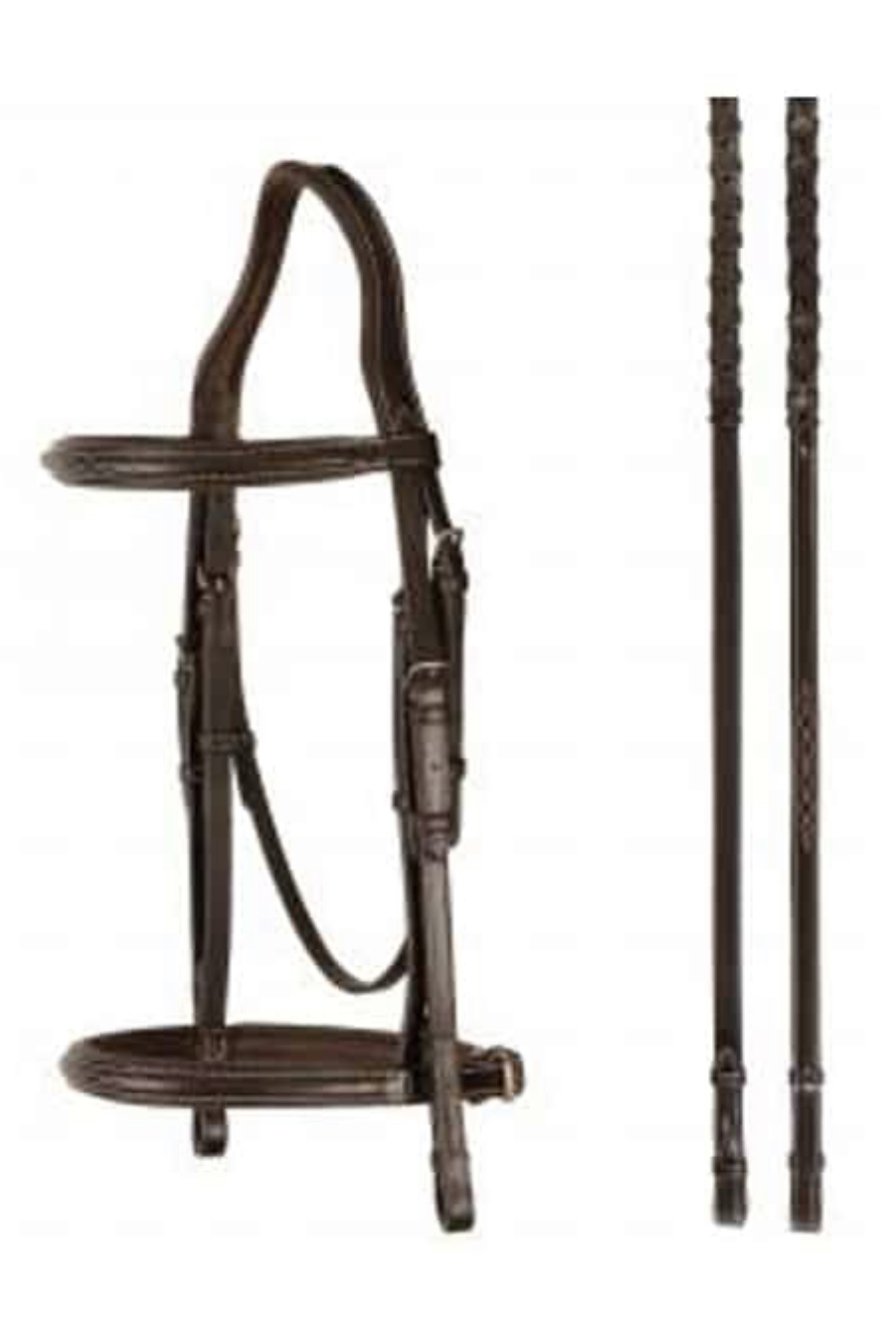 New Arrivals — 2nd Round Equestrian