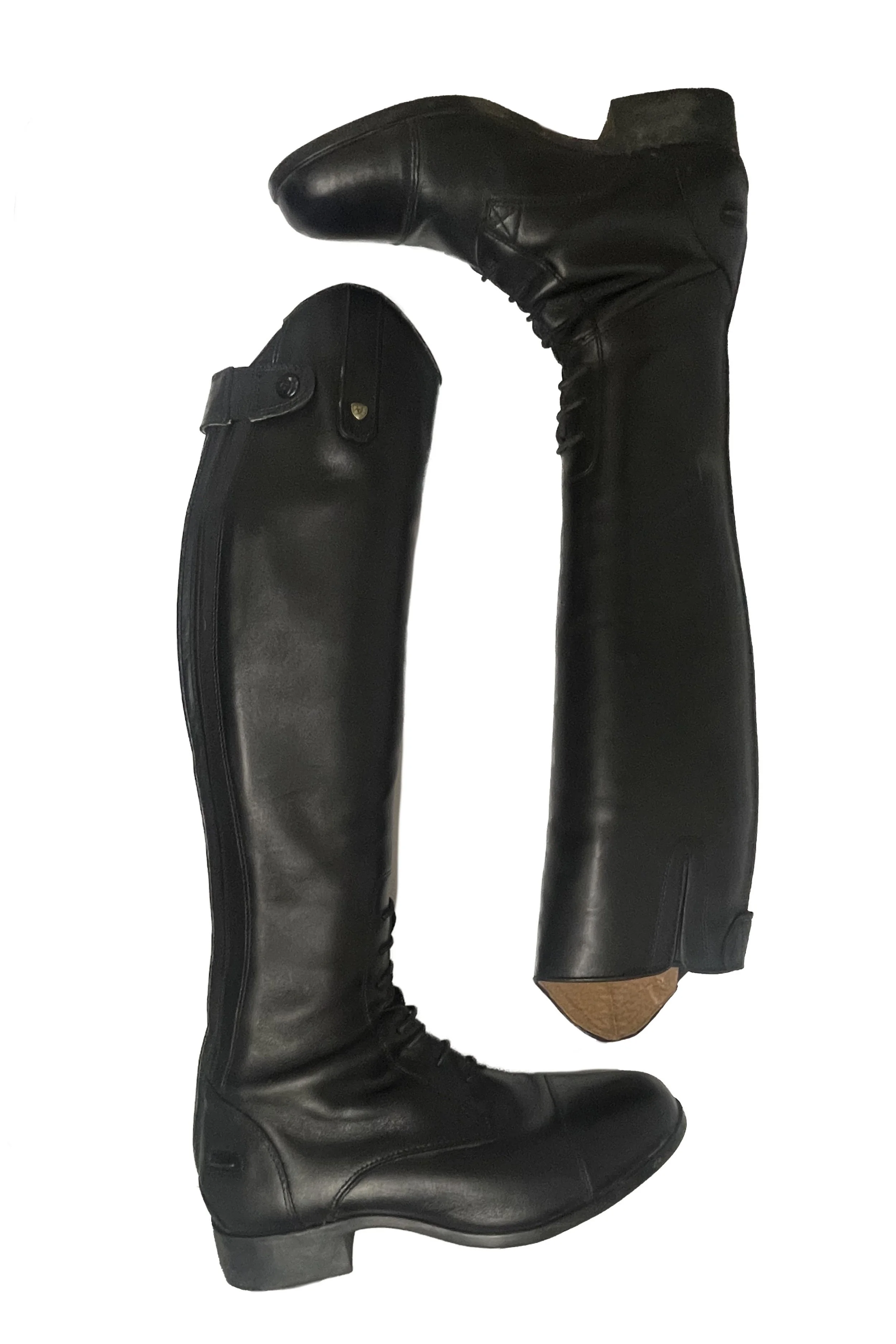 New Arrivals — 2nd Round Equestrian