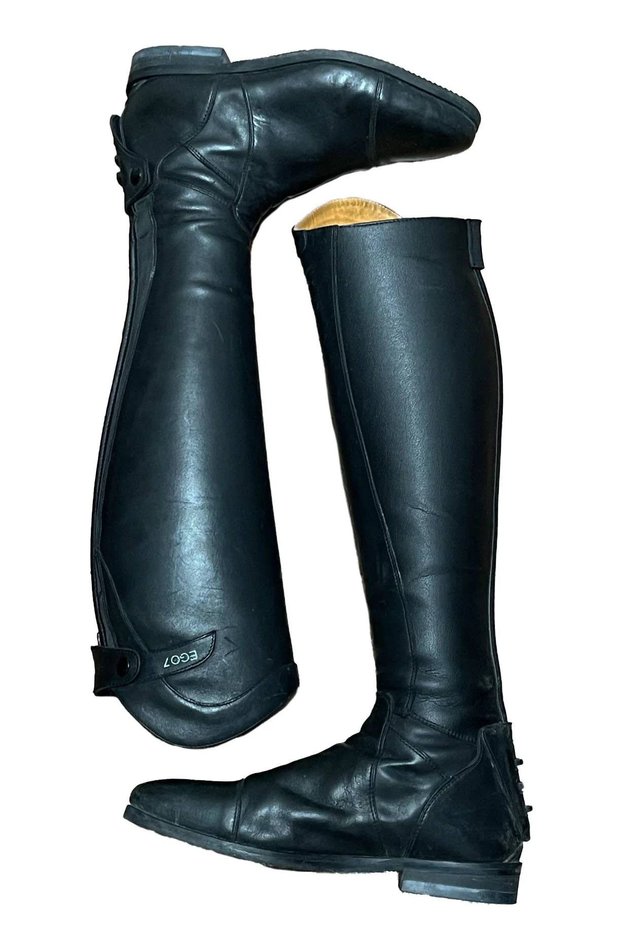 New Arrivals — 2nd Round Equestrian
