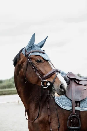 2nd Round Equestrian - 2nd Round Equestrian