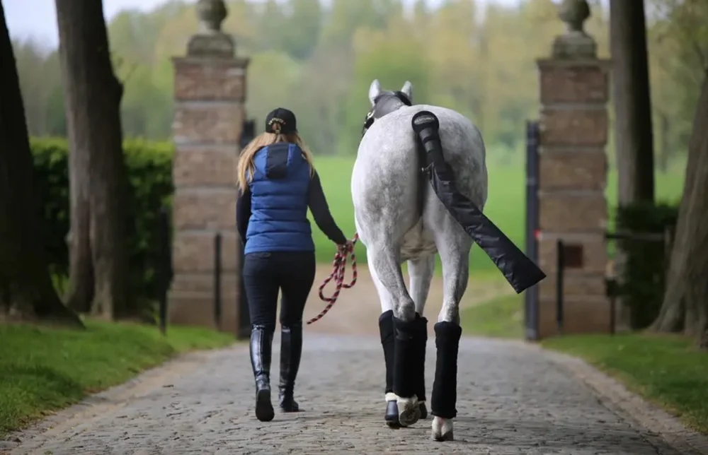 2nd Round Equestrian - 2nd Round Equestrian