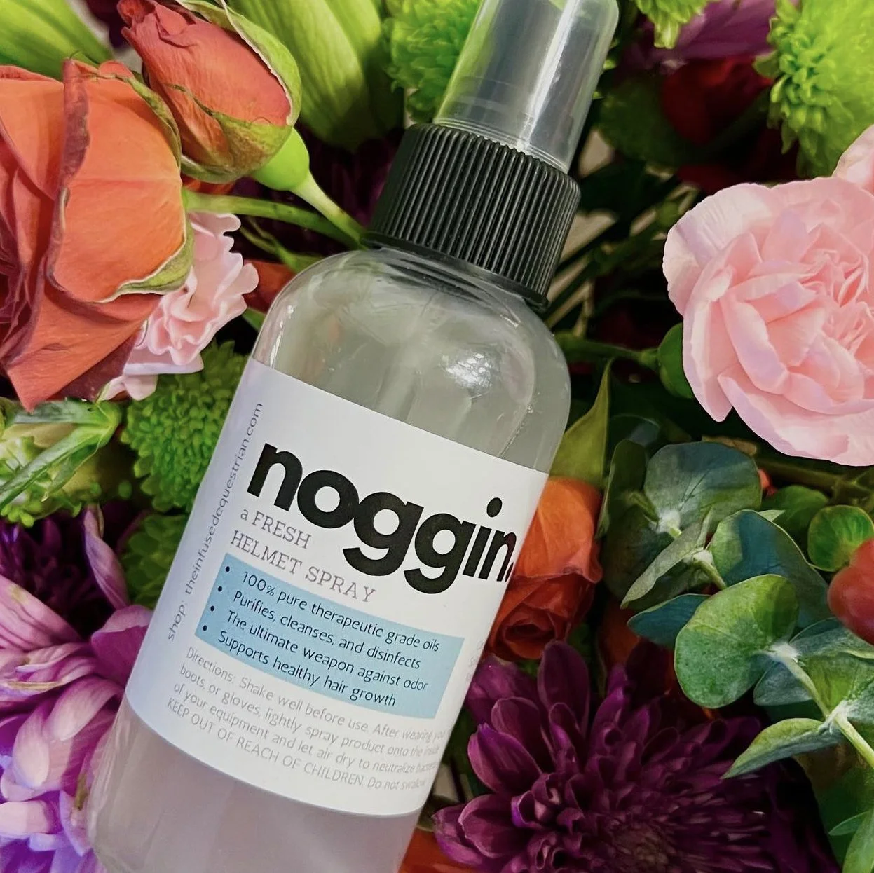 2nd Round Equestrian