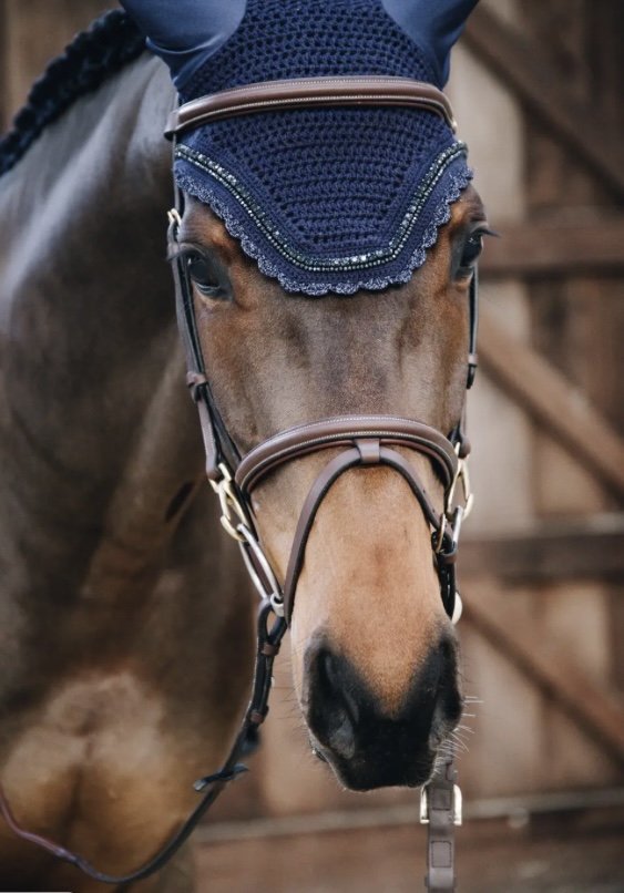 2nd Round Equestrian - 2nd Round Equestrian