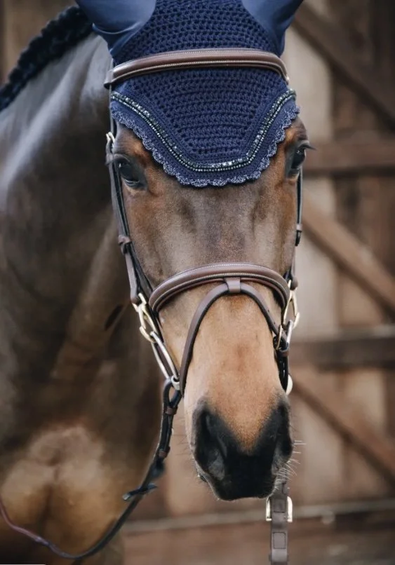 2nd Round Equestrian - 2nd Round Equestrian