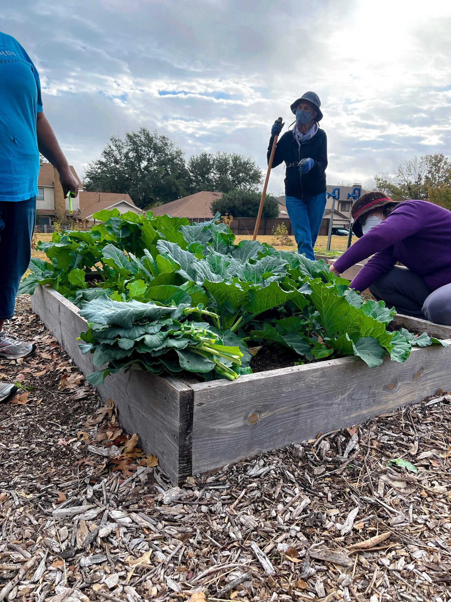 Get Involved — Owenwood Farm & Neighbor Space