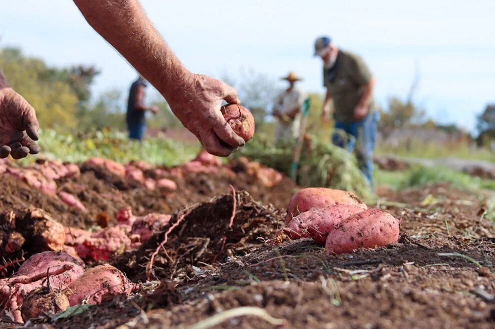 Get Involved — Owenwood Farm & Neighbor Space