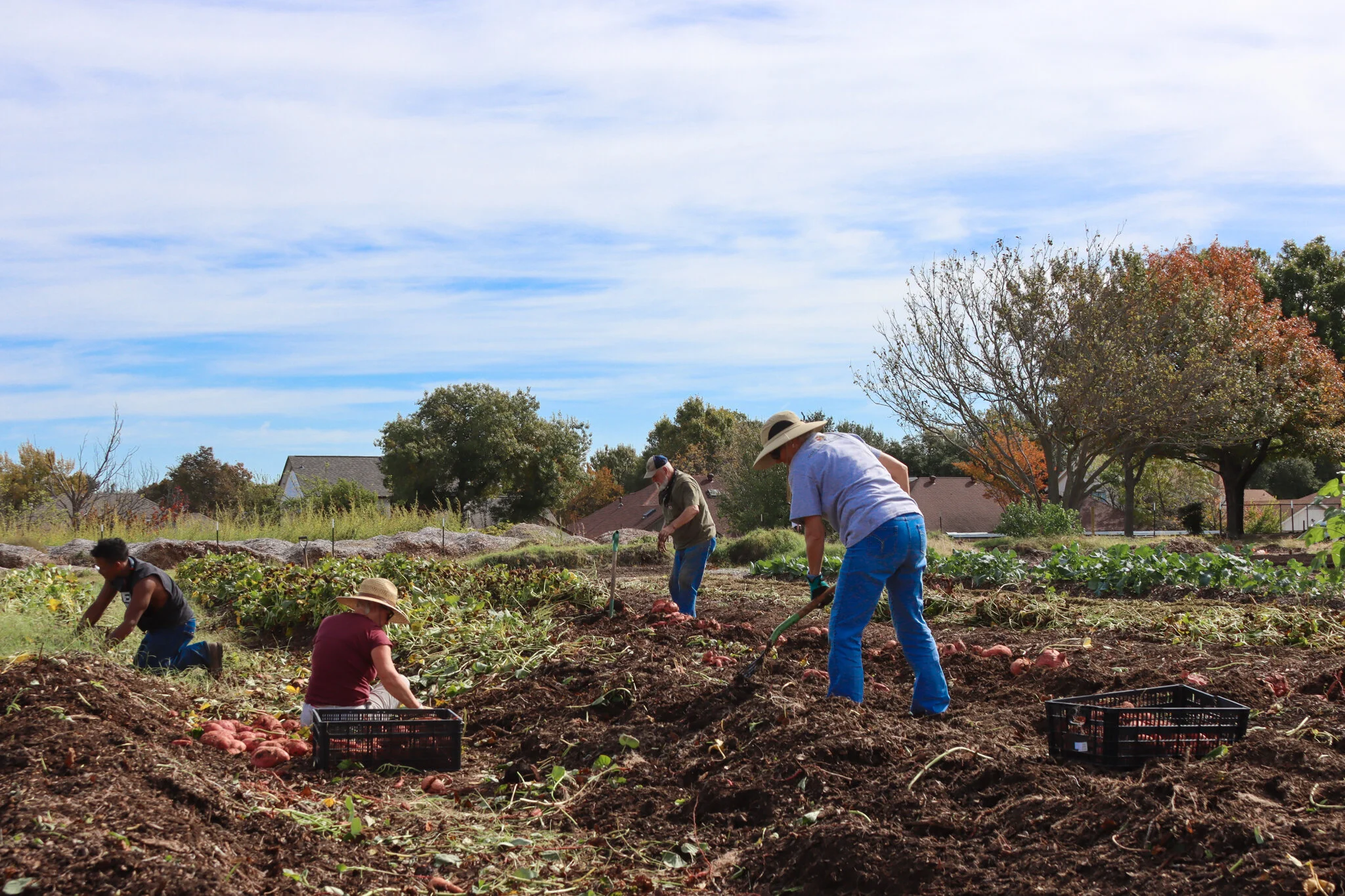 Get Involved — Owenwood Farm & Neighbor Space
