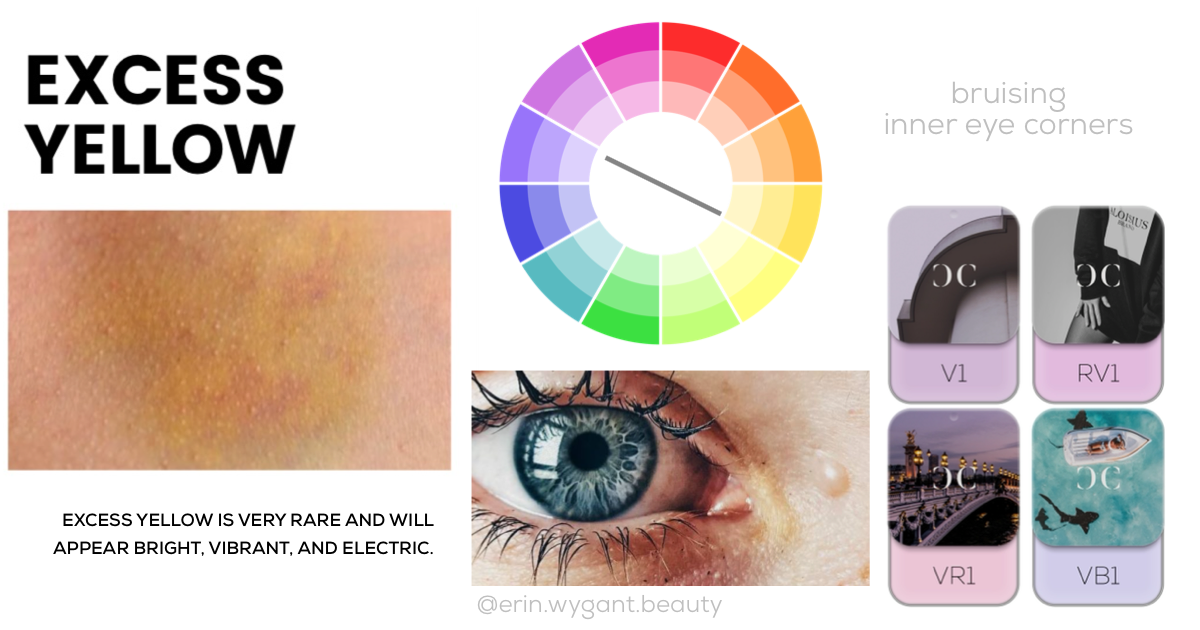 Demi Colour — Erin Wygant Beauty