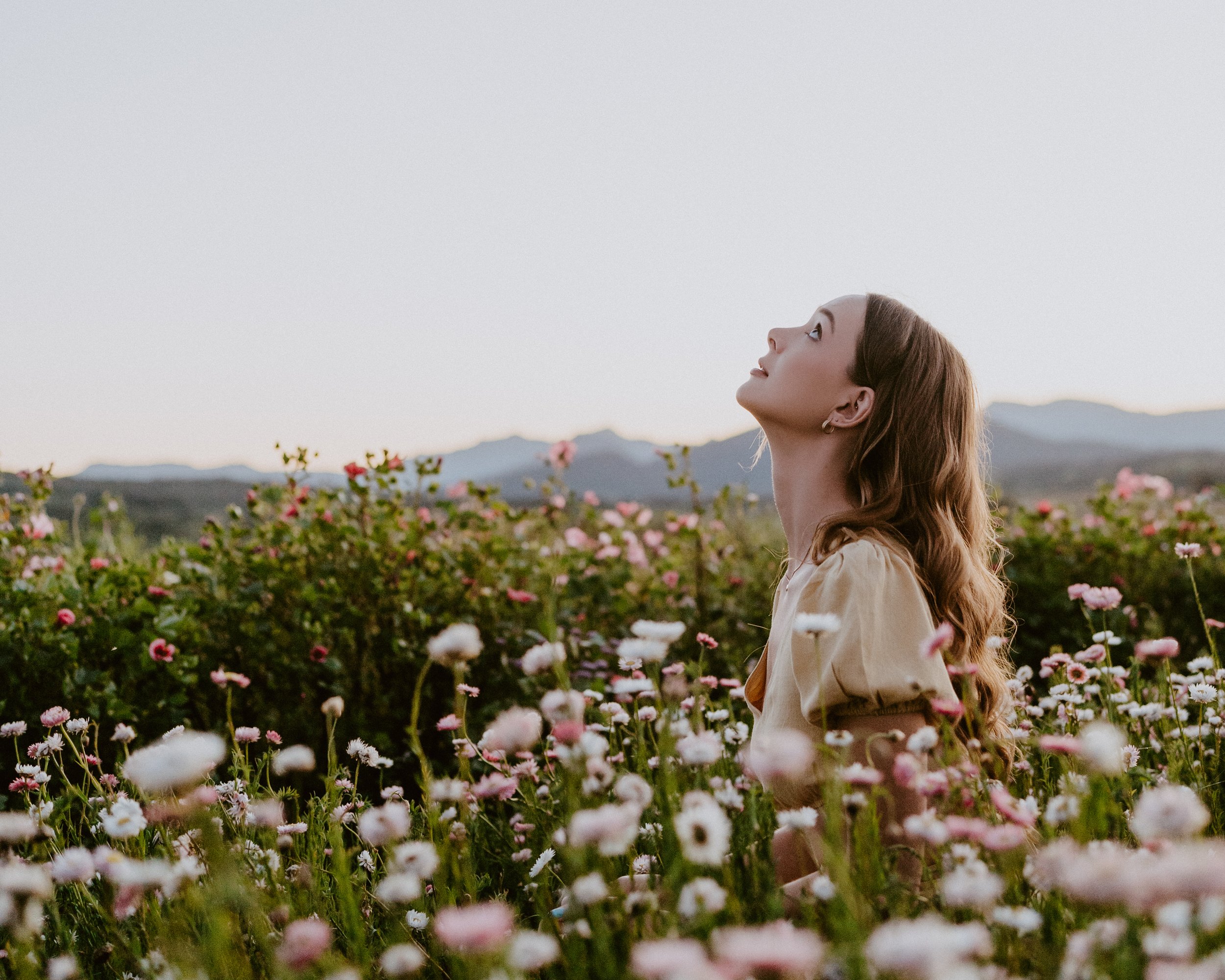 Flower Farm Brisbane | Best Flower Site