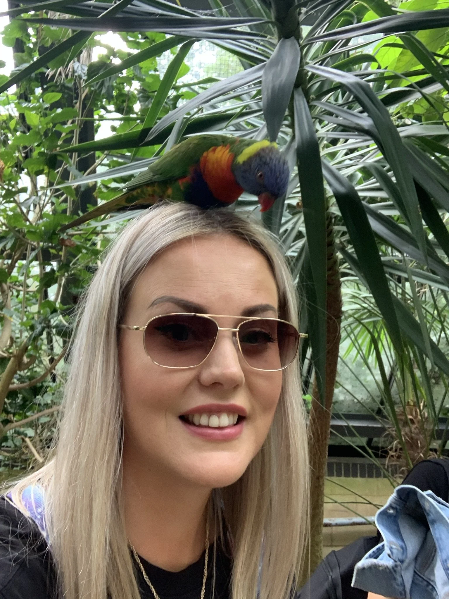 Finding the Perfect Fit: Meet the Tutors Tailoring Education to Every ...