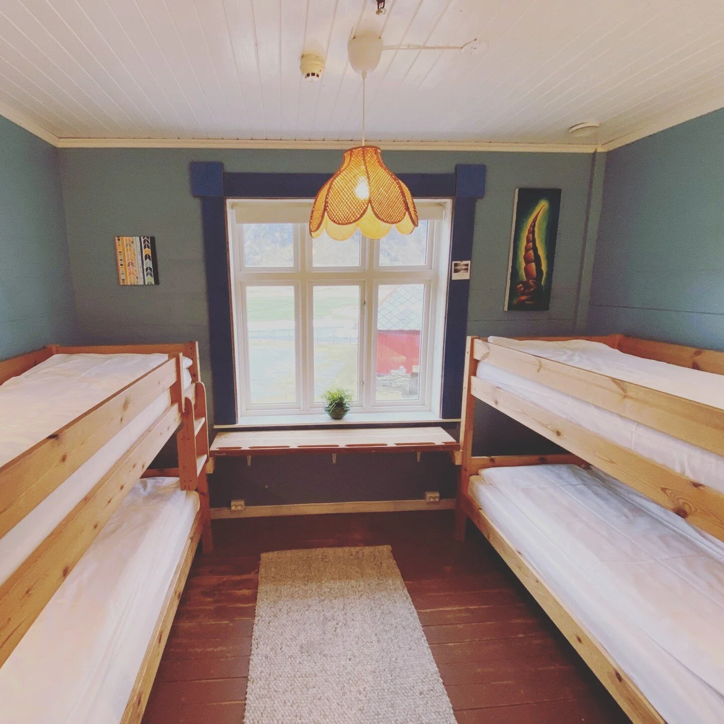 Stad Surfing | Surf lessons | Hoddevik