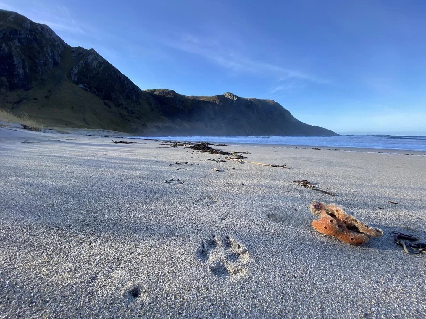Stad Surfing | Surf lessons | Hoddevik