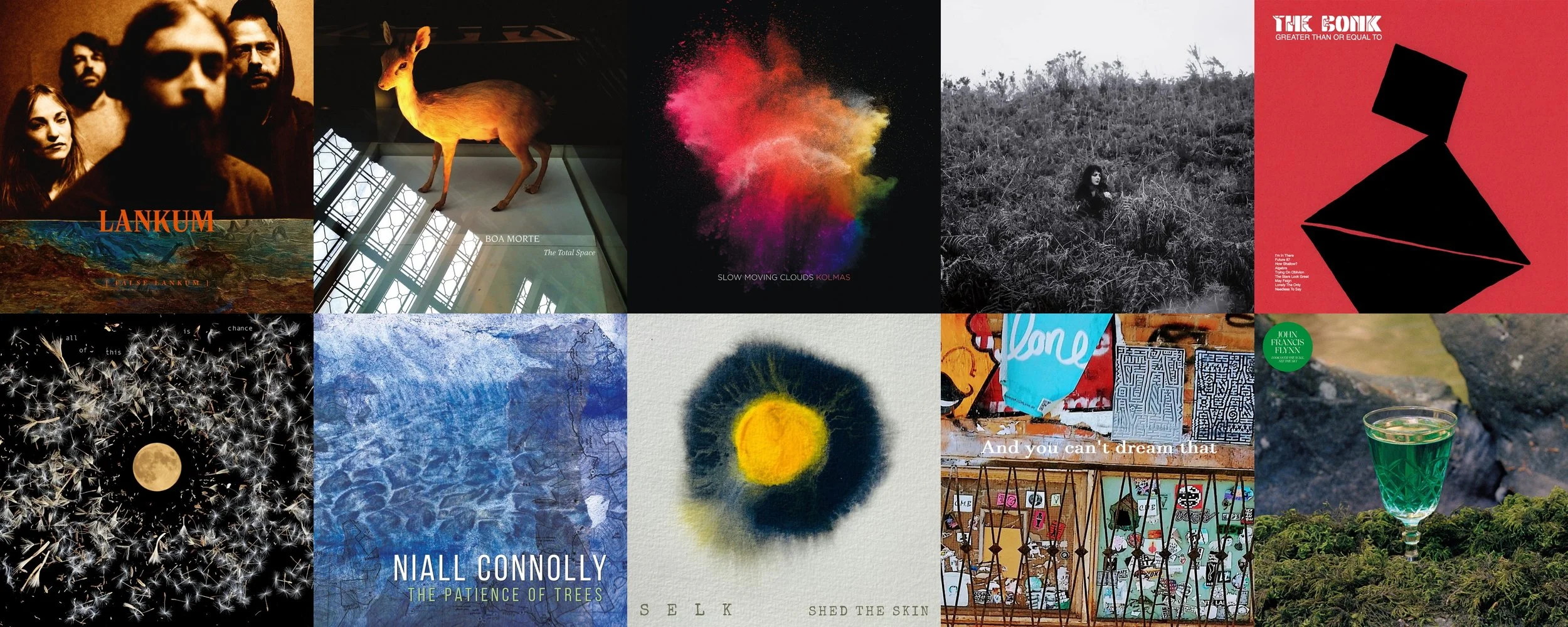 Top 10 Irish Albums of the Year. Tracks from all ten of these albums ...
