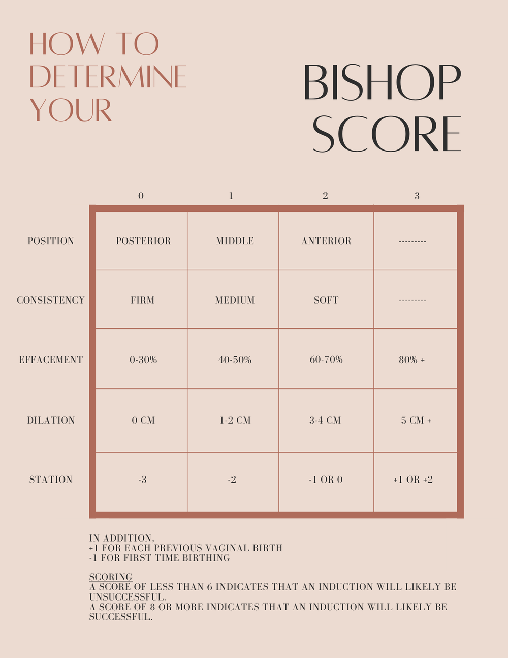 What is a Bishop Score? — Taylor Speier
