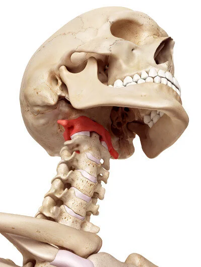 About Dr. Randy James — Denver Headache and Spine Center, P.C.