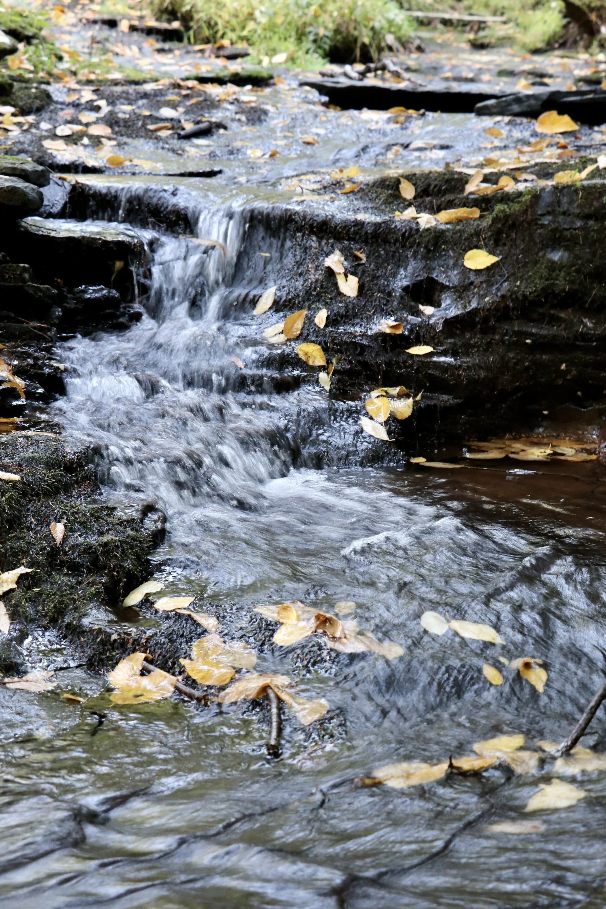 About Us — Living Stone