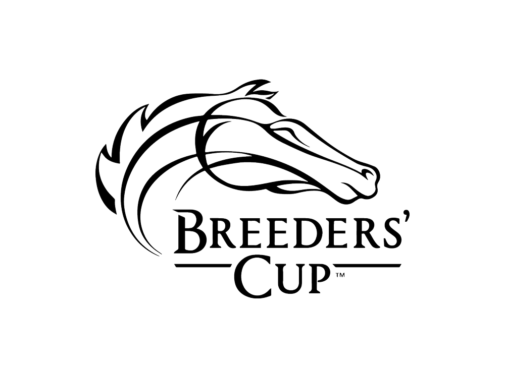 Studio — Number Project