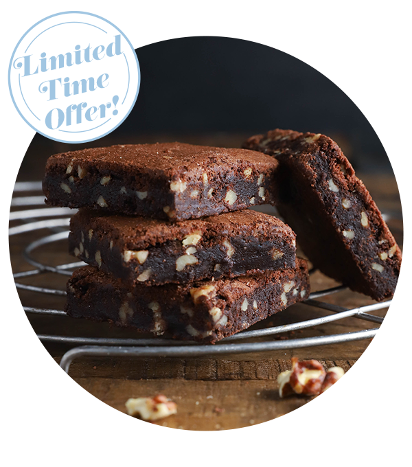 Foodservice - All Flavors — Killer Brownie® Wholesale