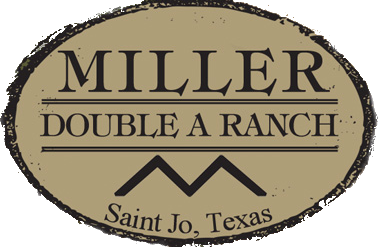 Miller Double A Ranch | Hunting in Texoma