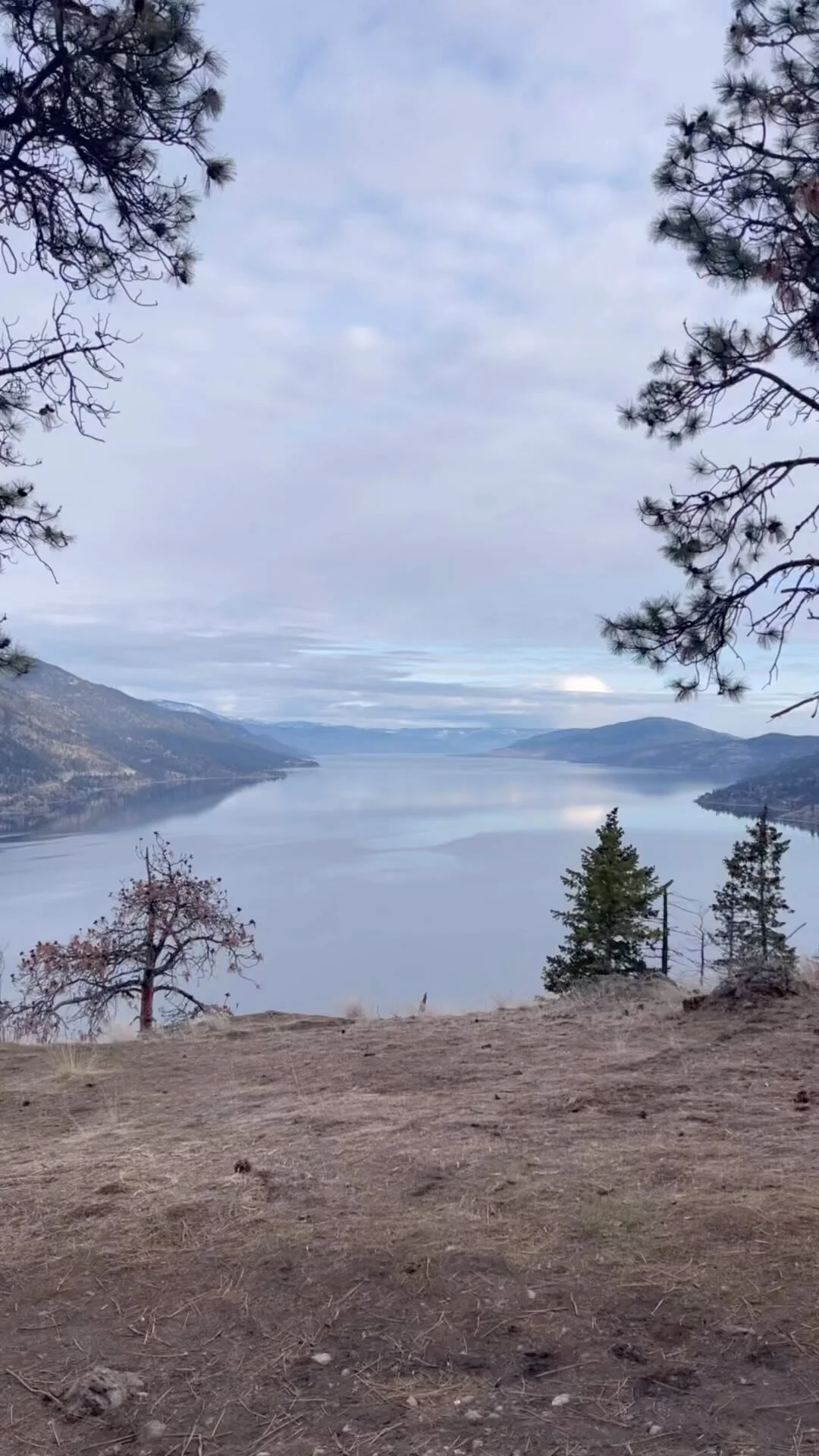 Central Okanagan Elizabeth Fry Society