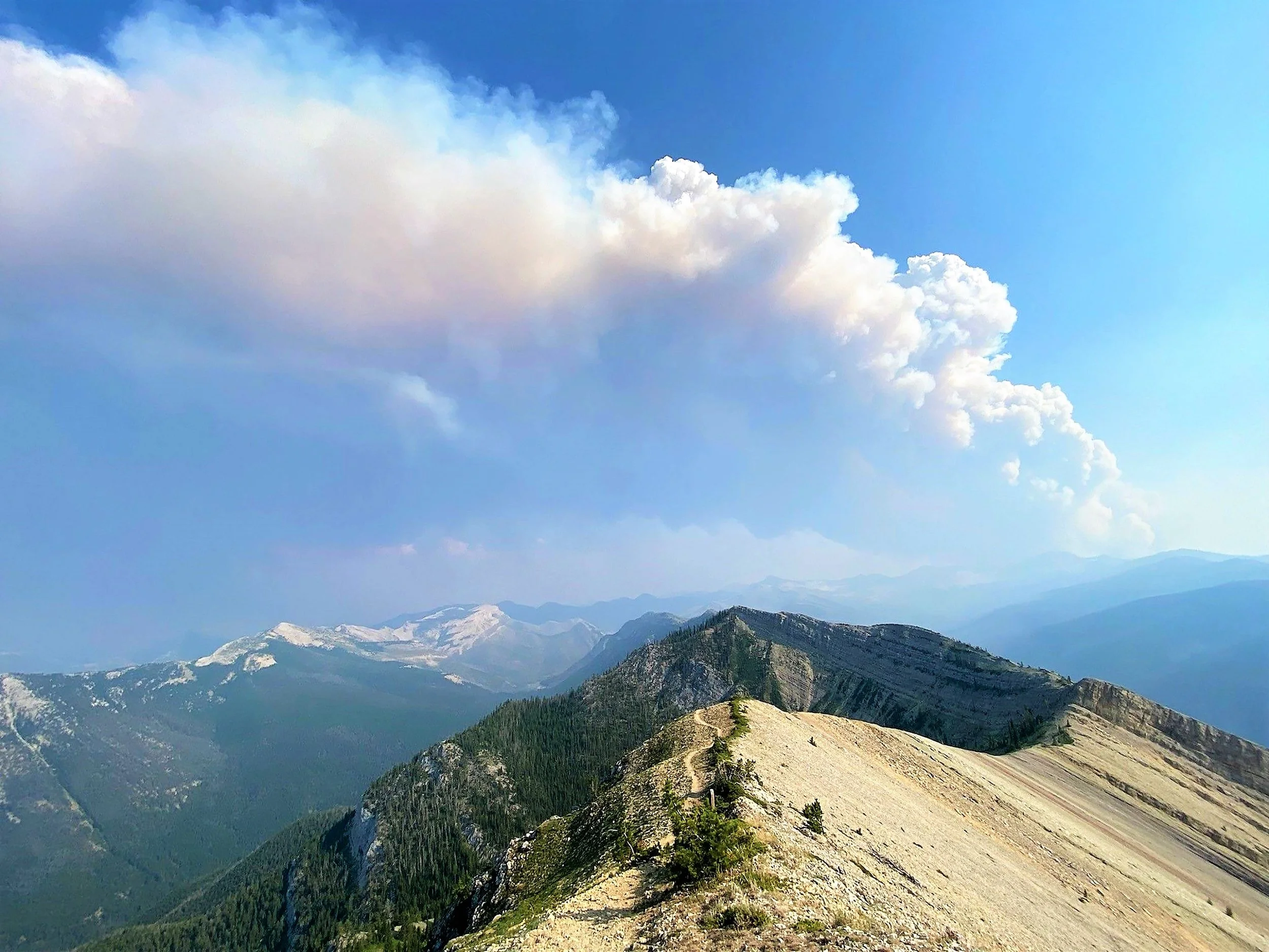 The View from a Lookout Tower — Raised in the West Magazine