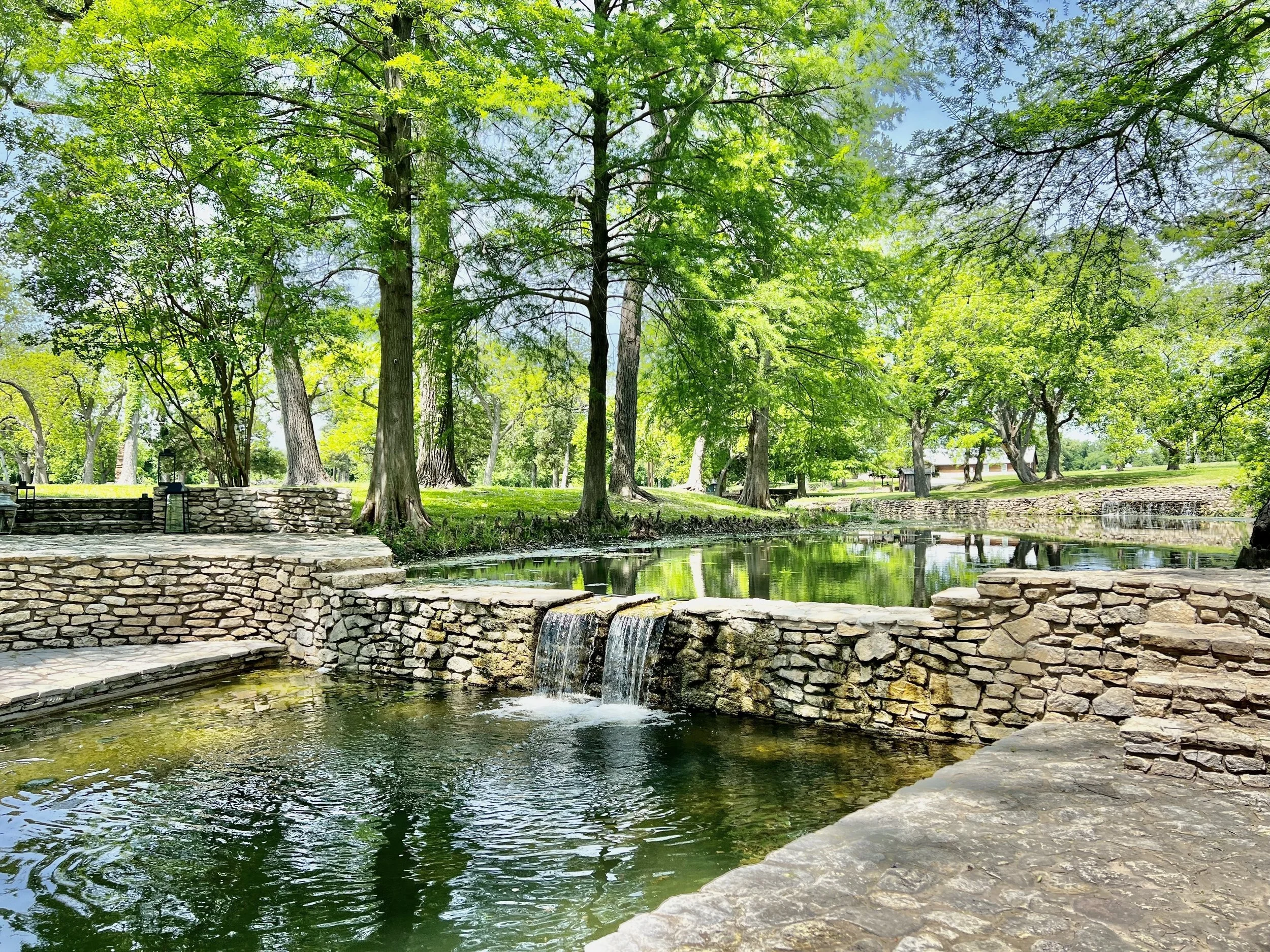 Family Reunion Venues in Central Texas: Why First-Timers Love Spring ...