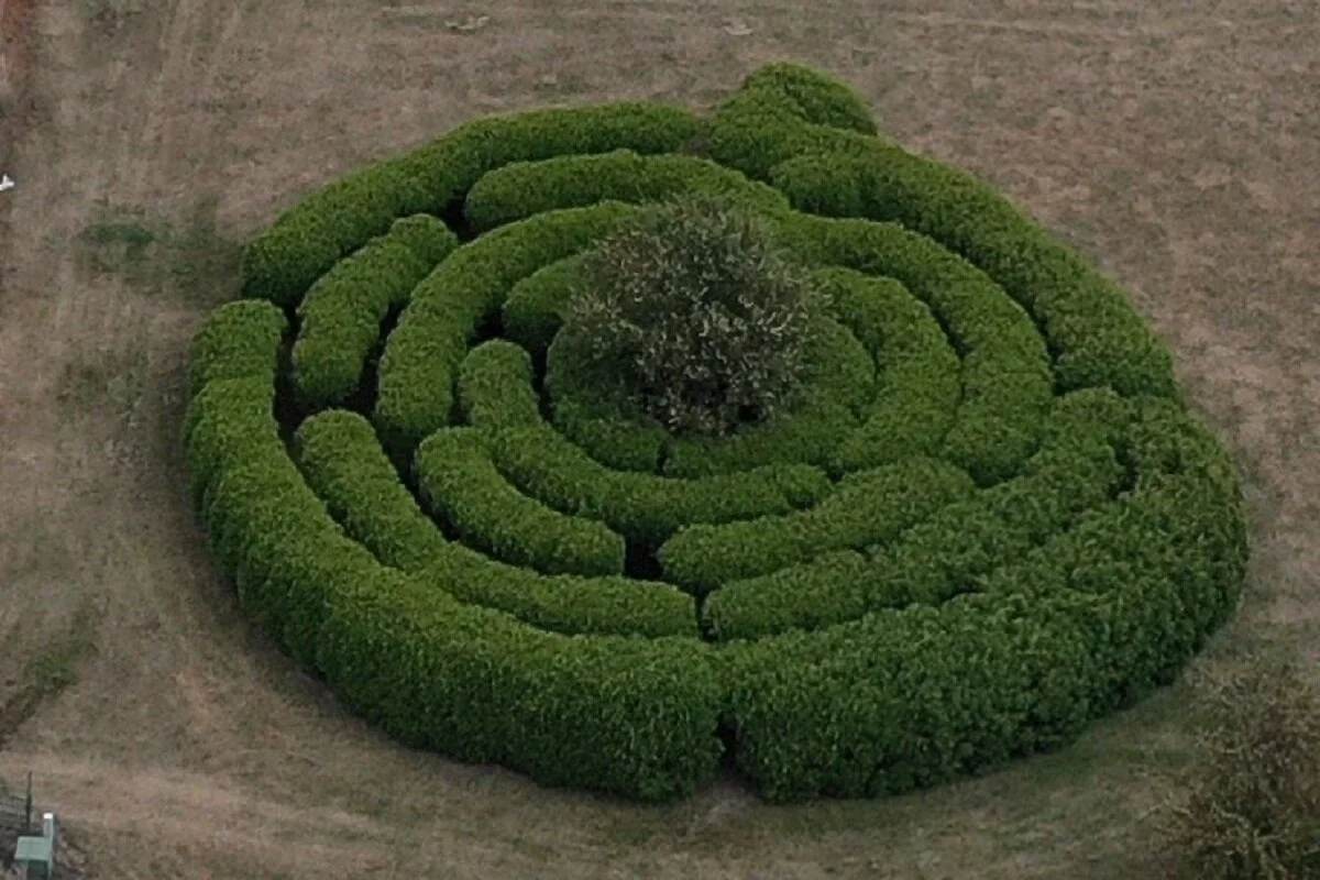 Gallery 1 — ApplewoodOrchard.com