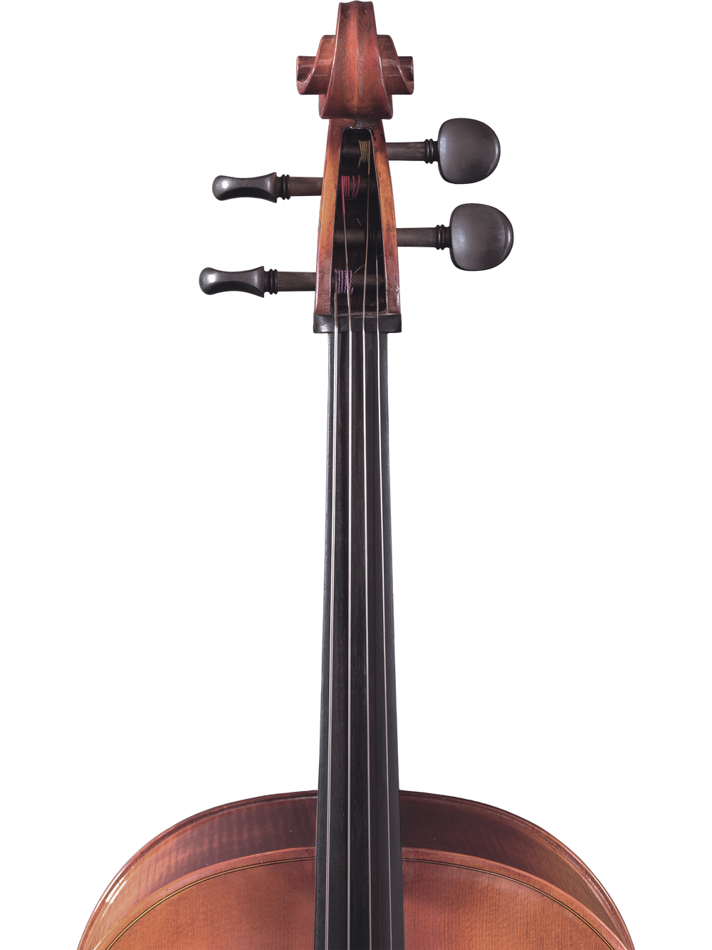 Cello — Store 1 — Maple Leaf Strings