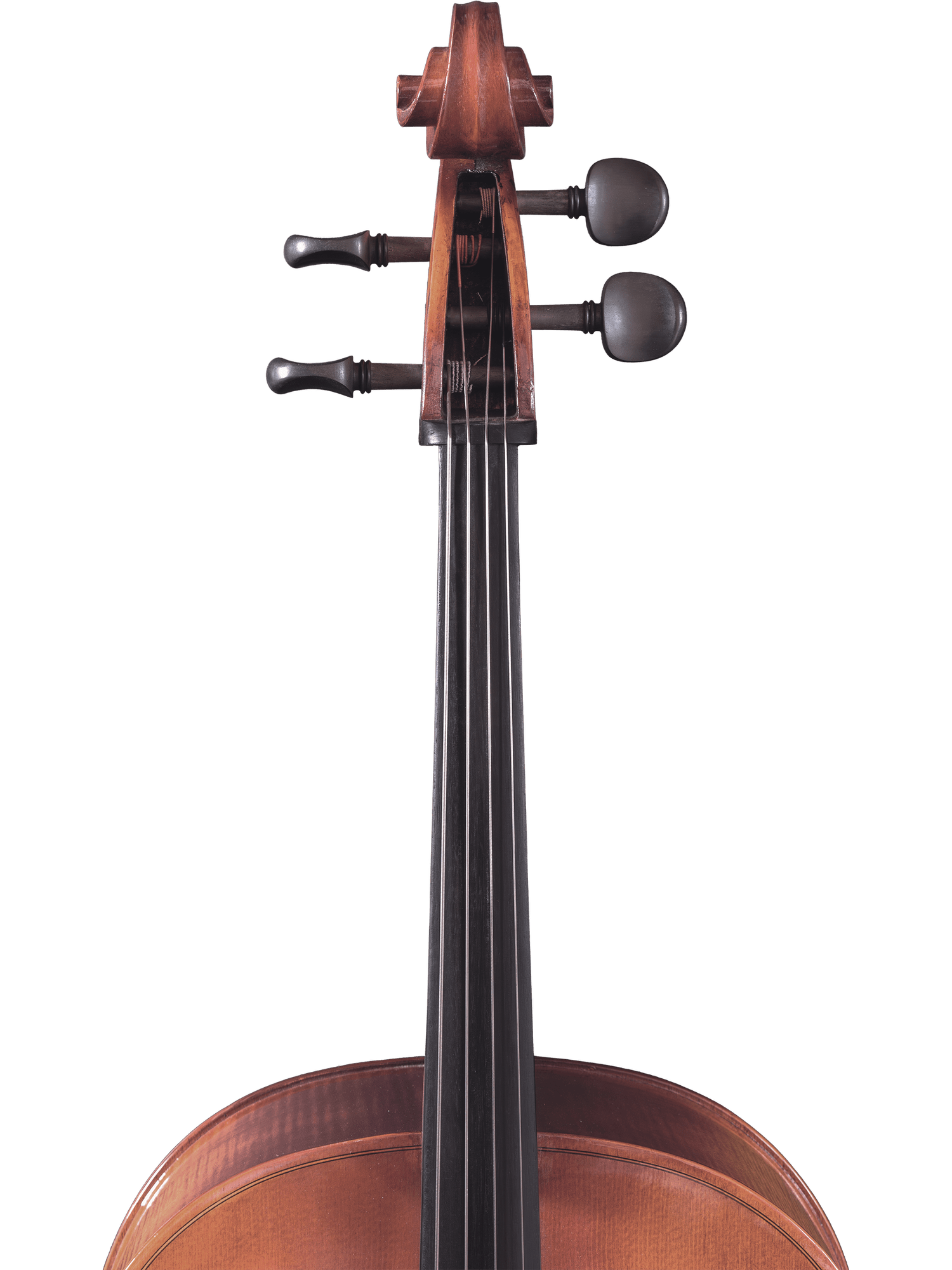 Cello — Store 1 — Maple Leaf Strings