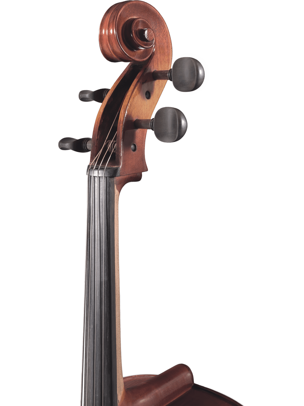 Cello — Store 1 — Maple Leaf Strings