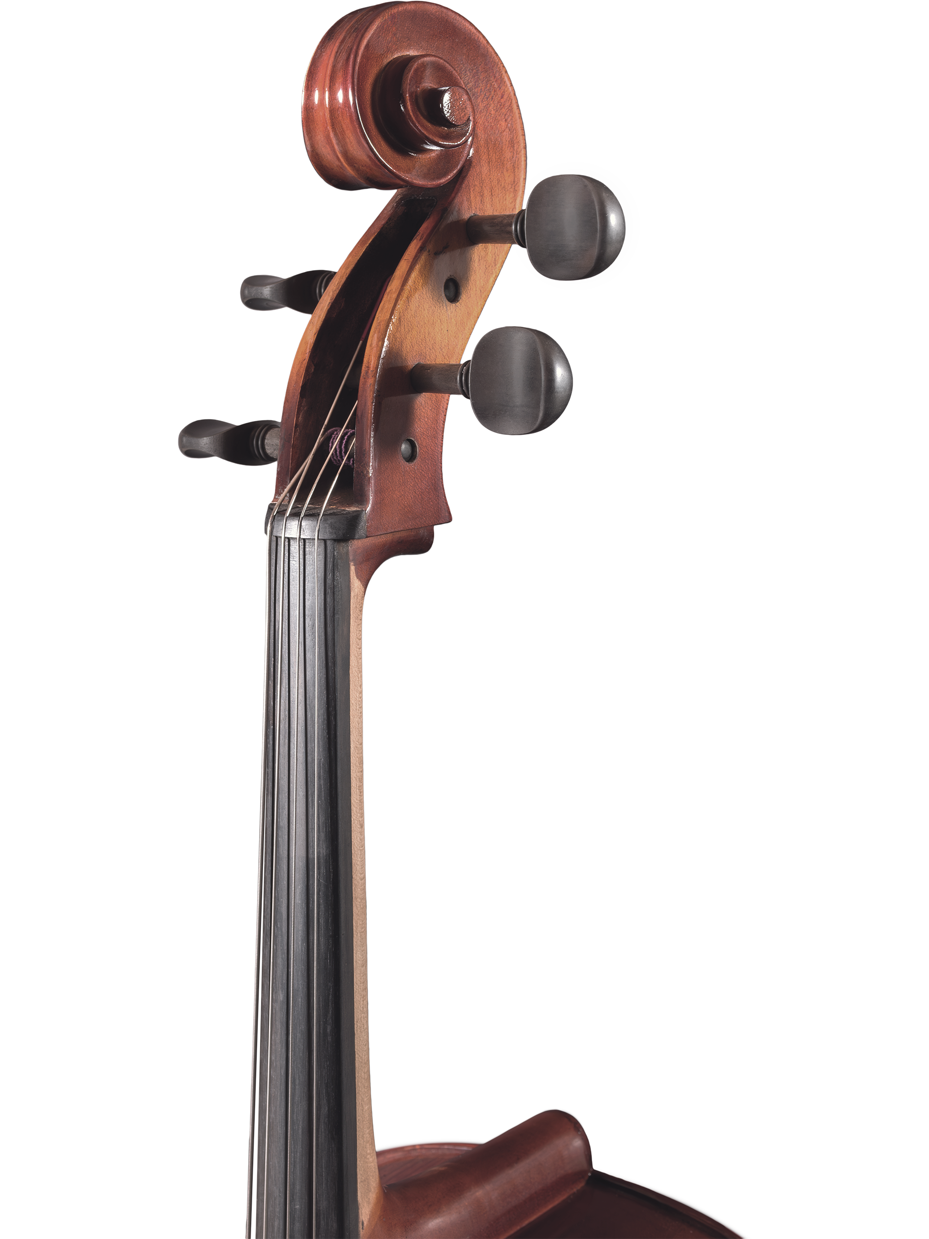 Cello — Store 1 — Maple Leaf Strings