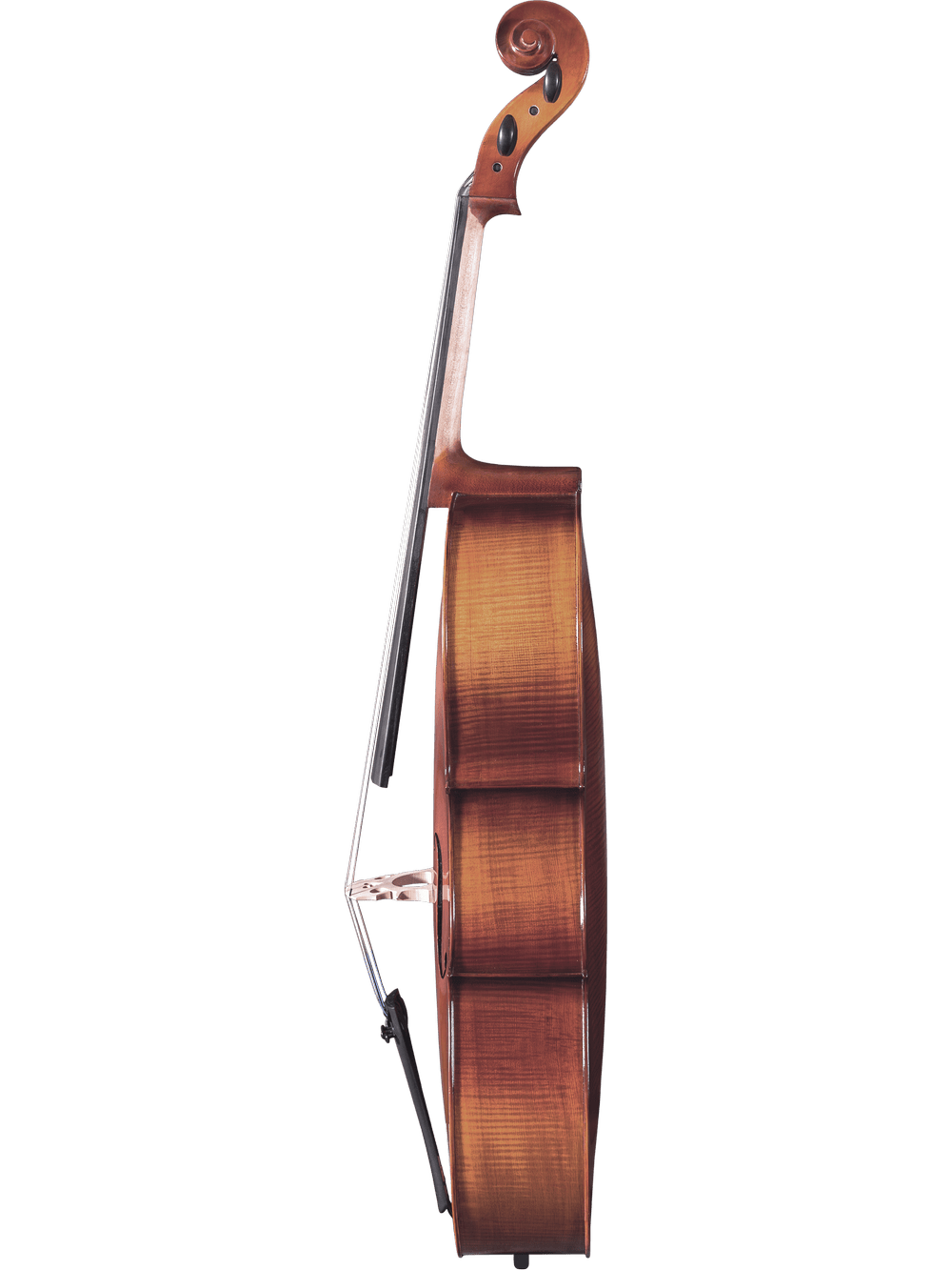 Cello — Store 1 — Maple Leaf Strings