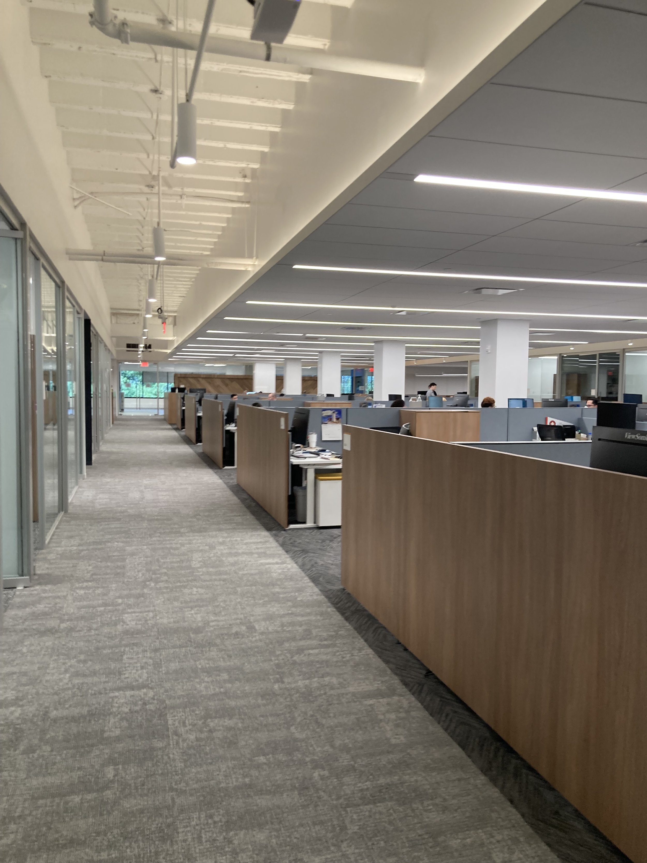 Provident Bank — Walsh Company