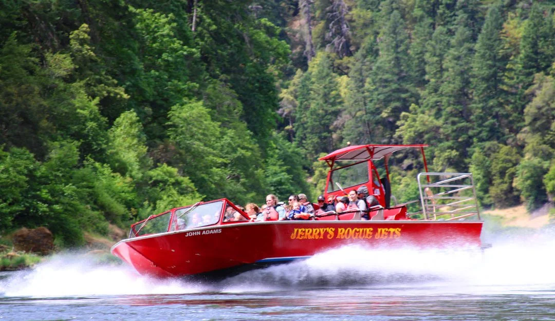 Gallery — Paradise Lodge