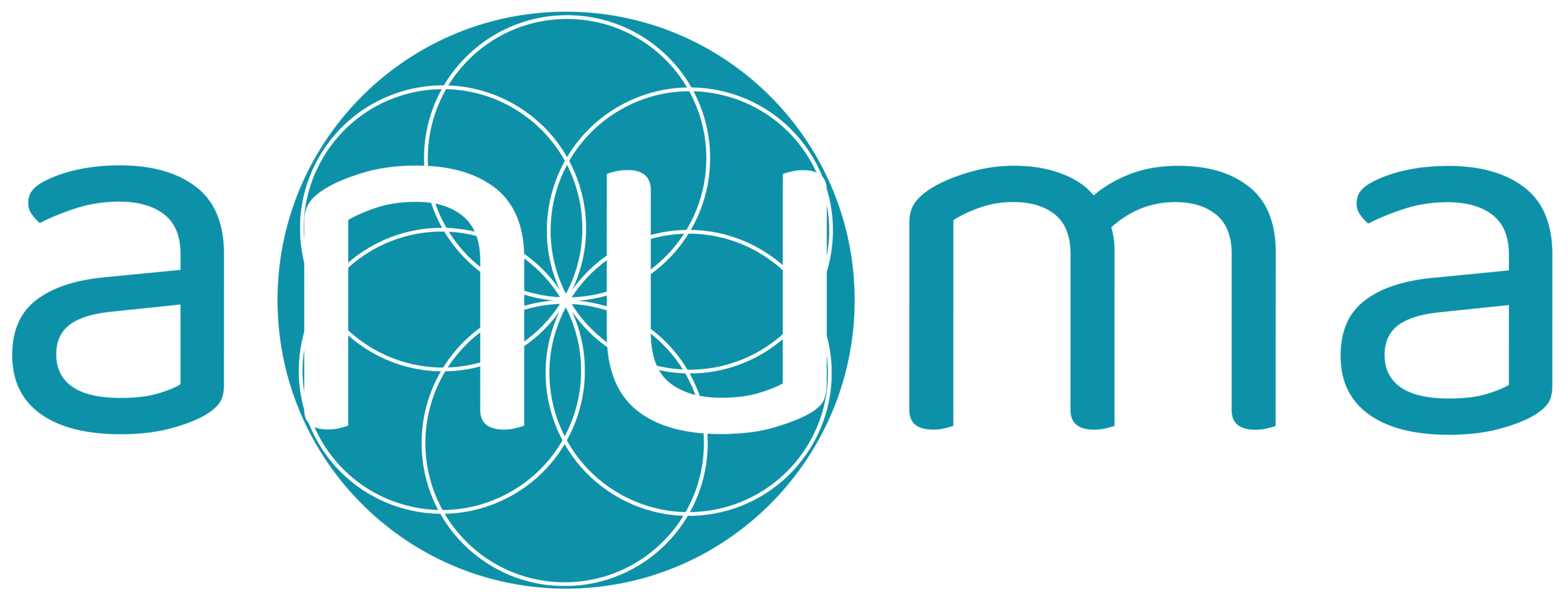 About — aNUma