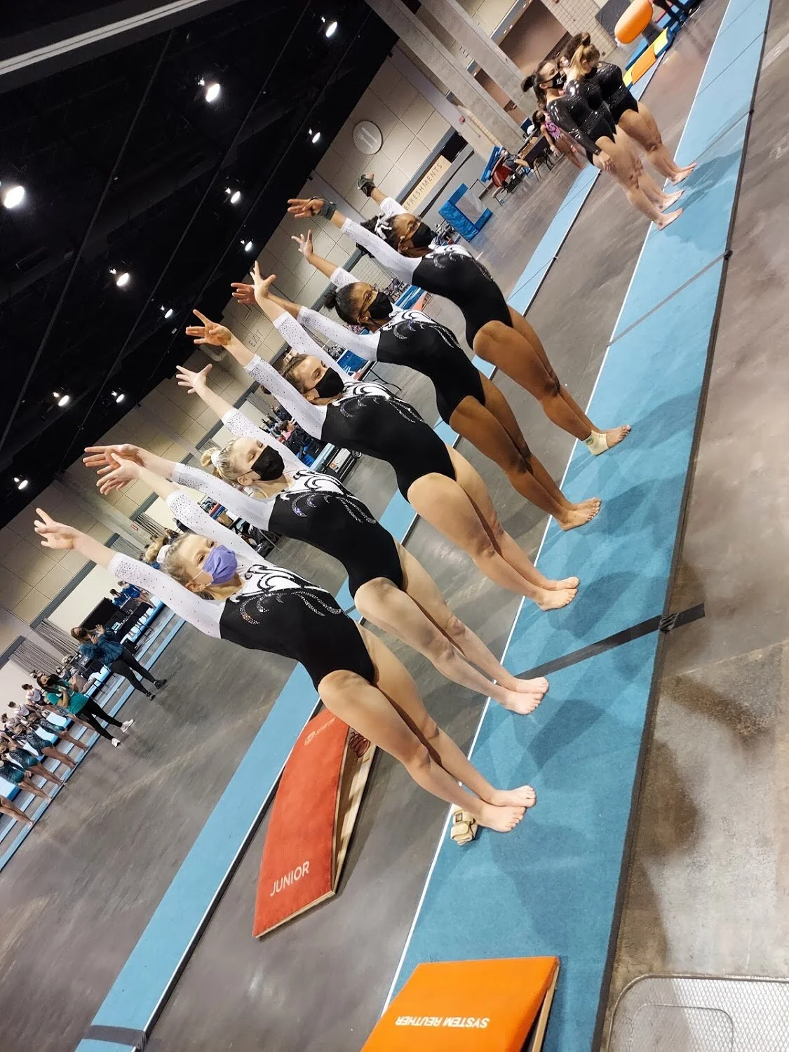 Dave's Gymnastics