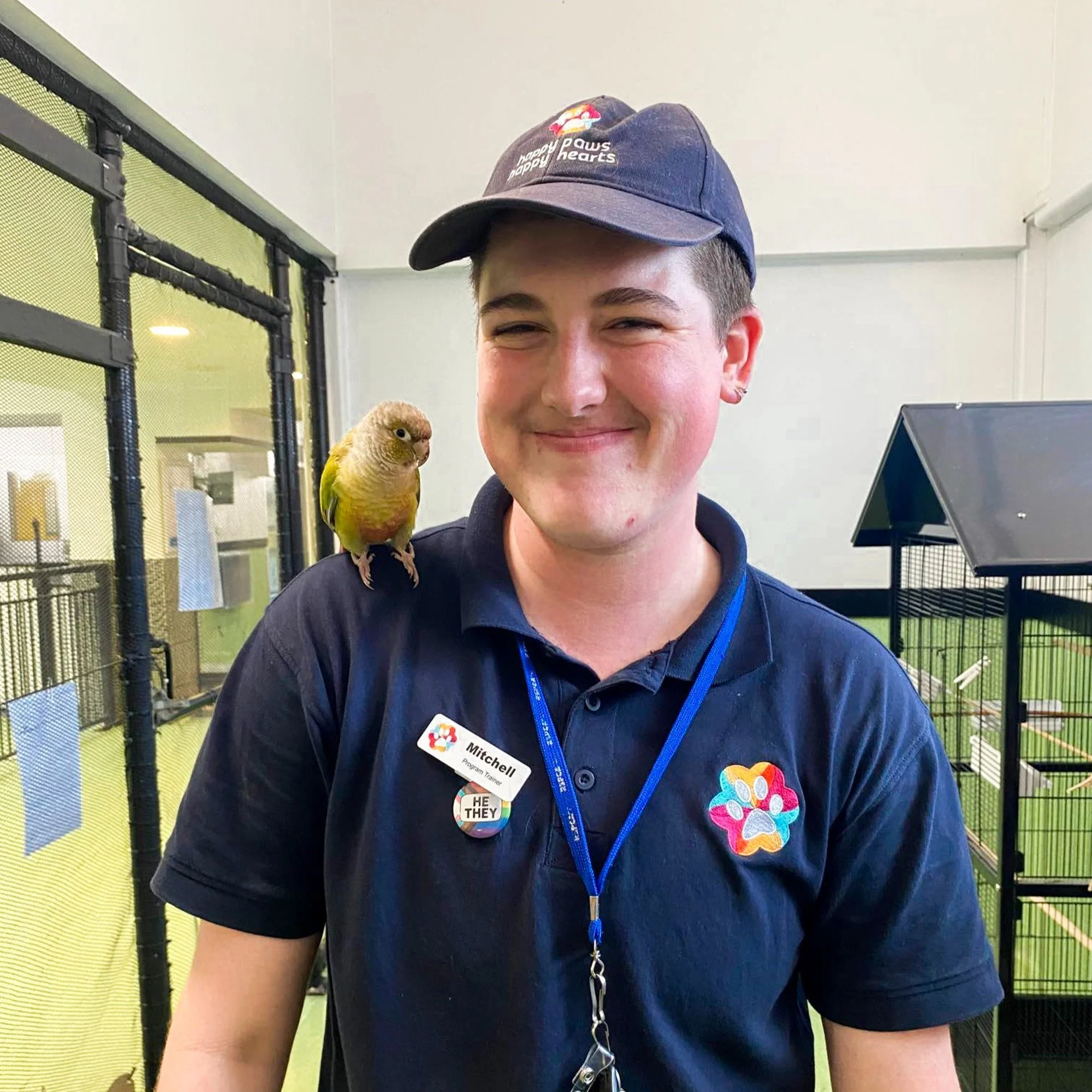 Meet the Team — HappyPawsHappyHearts