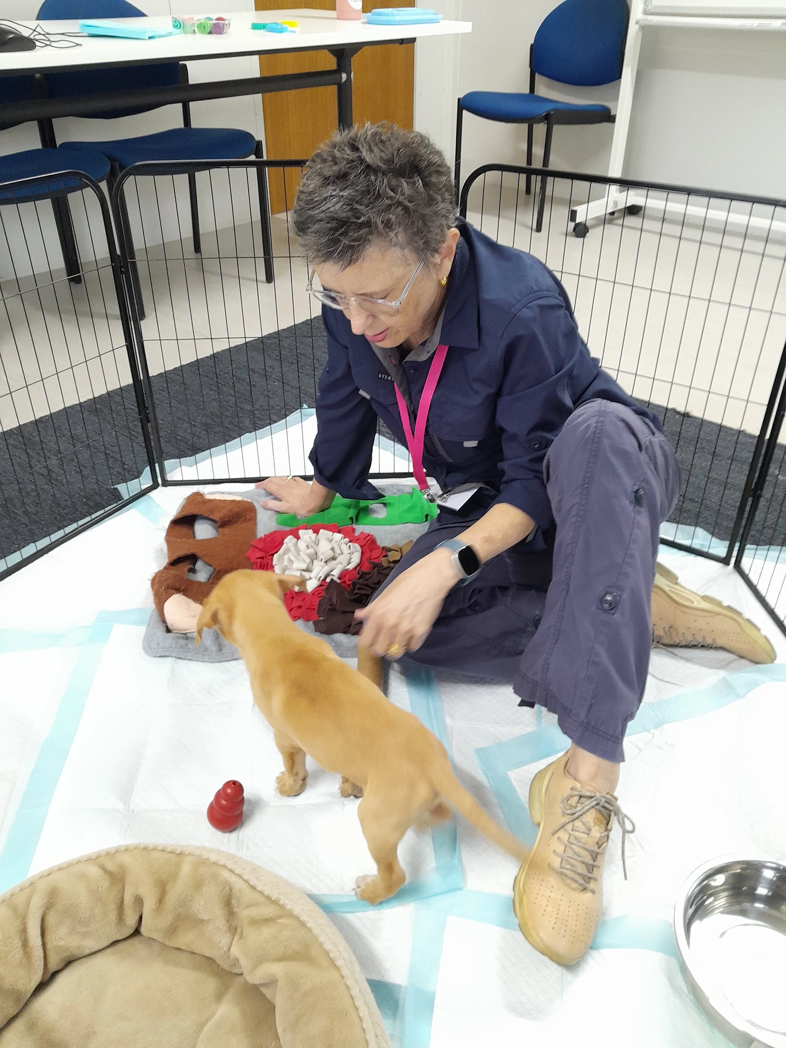 Job Opportunities — HappyPawsHappyHearts
