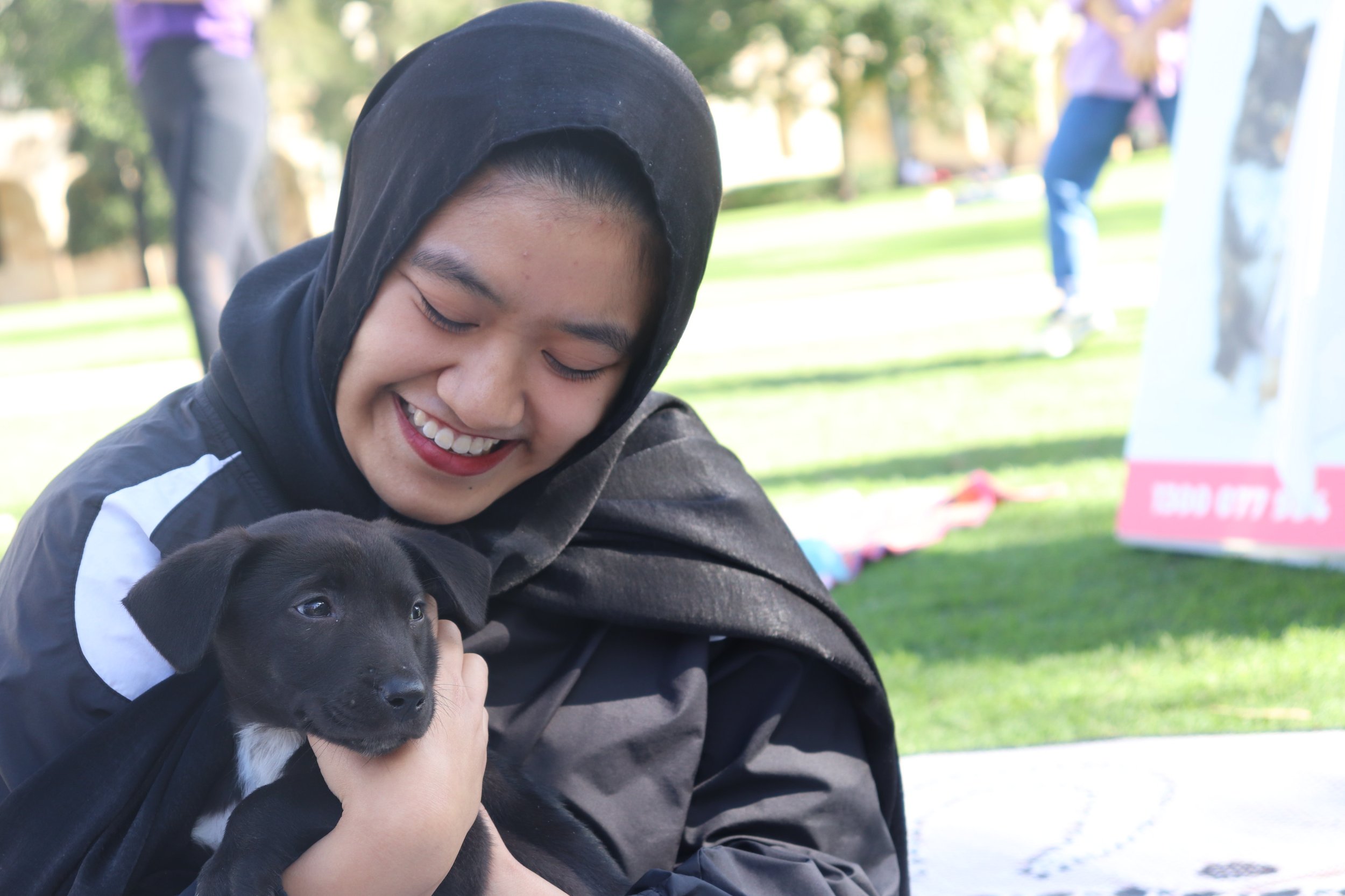 Hero Stories | Paws & Hearts — HappyPawsHappyHearts