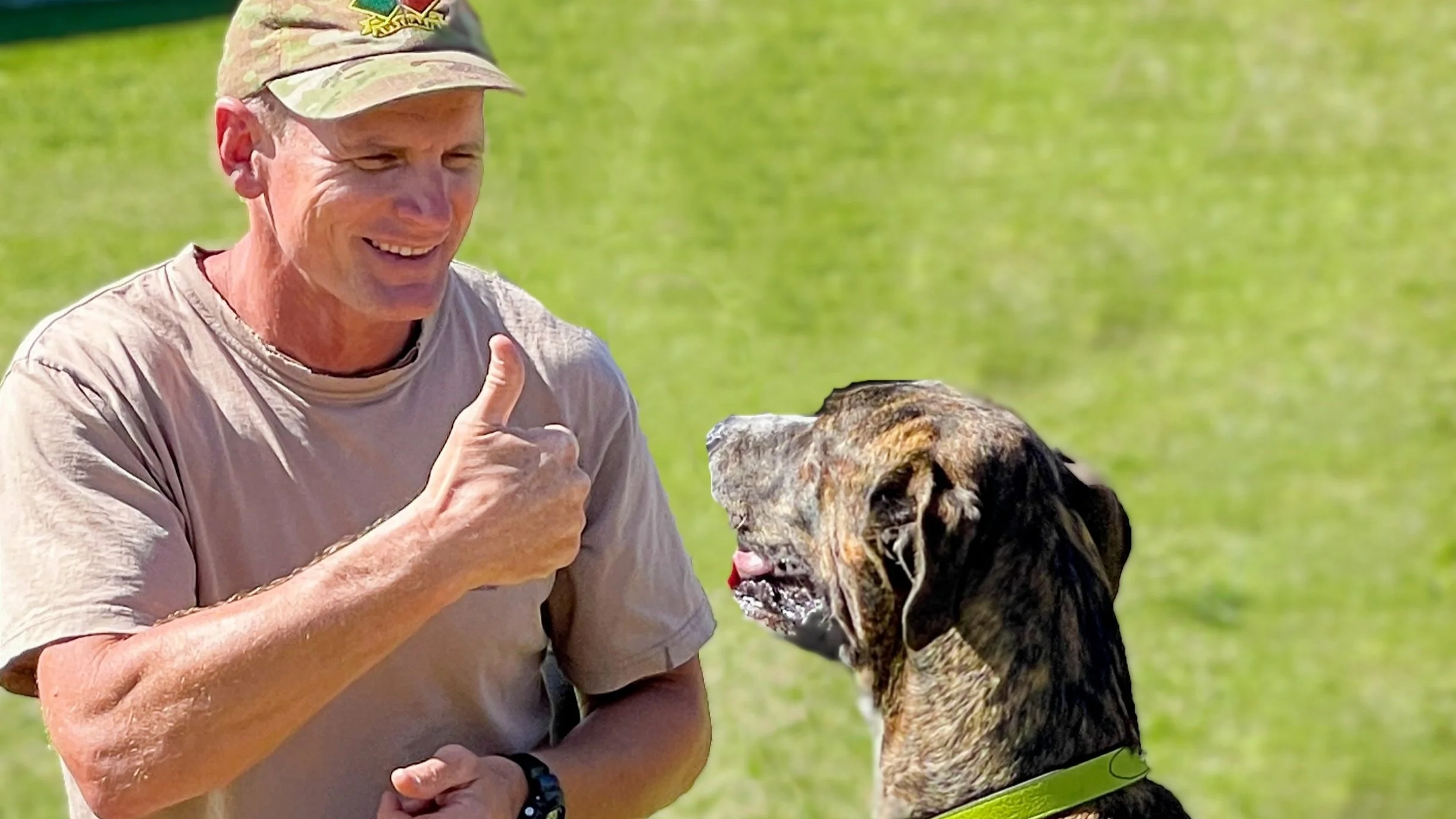 Programs — HappyPawsHappyHearts