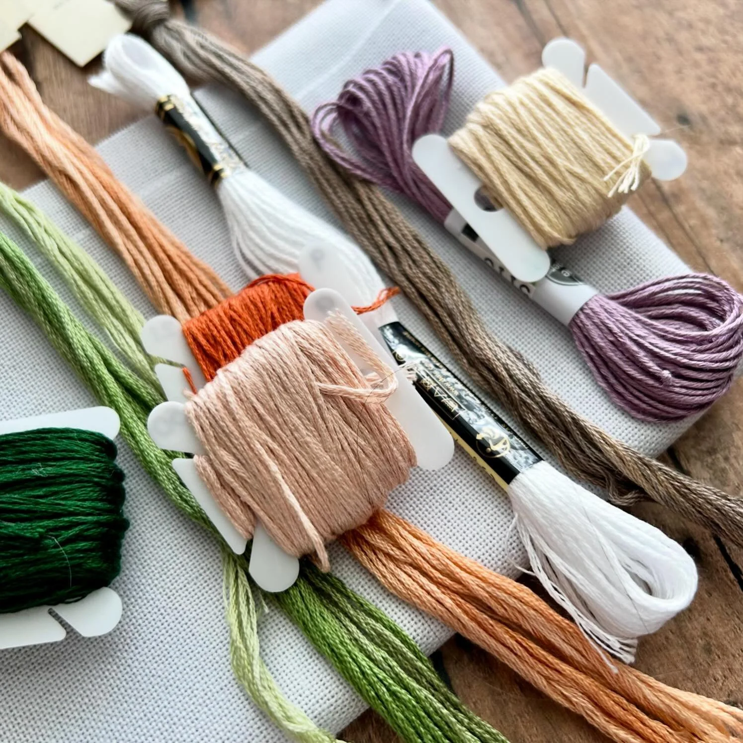 Sweet Wing Studio
