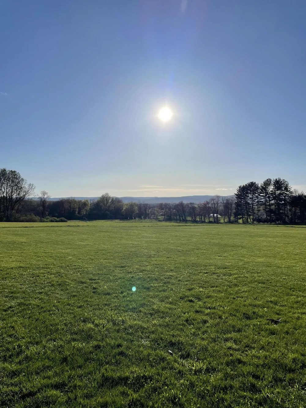 About — Kate Martel