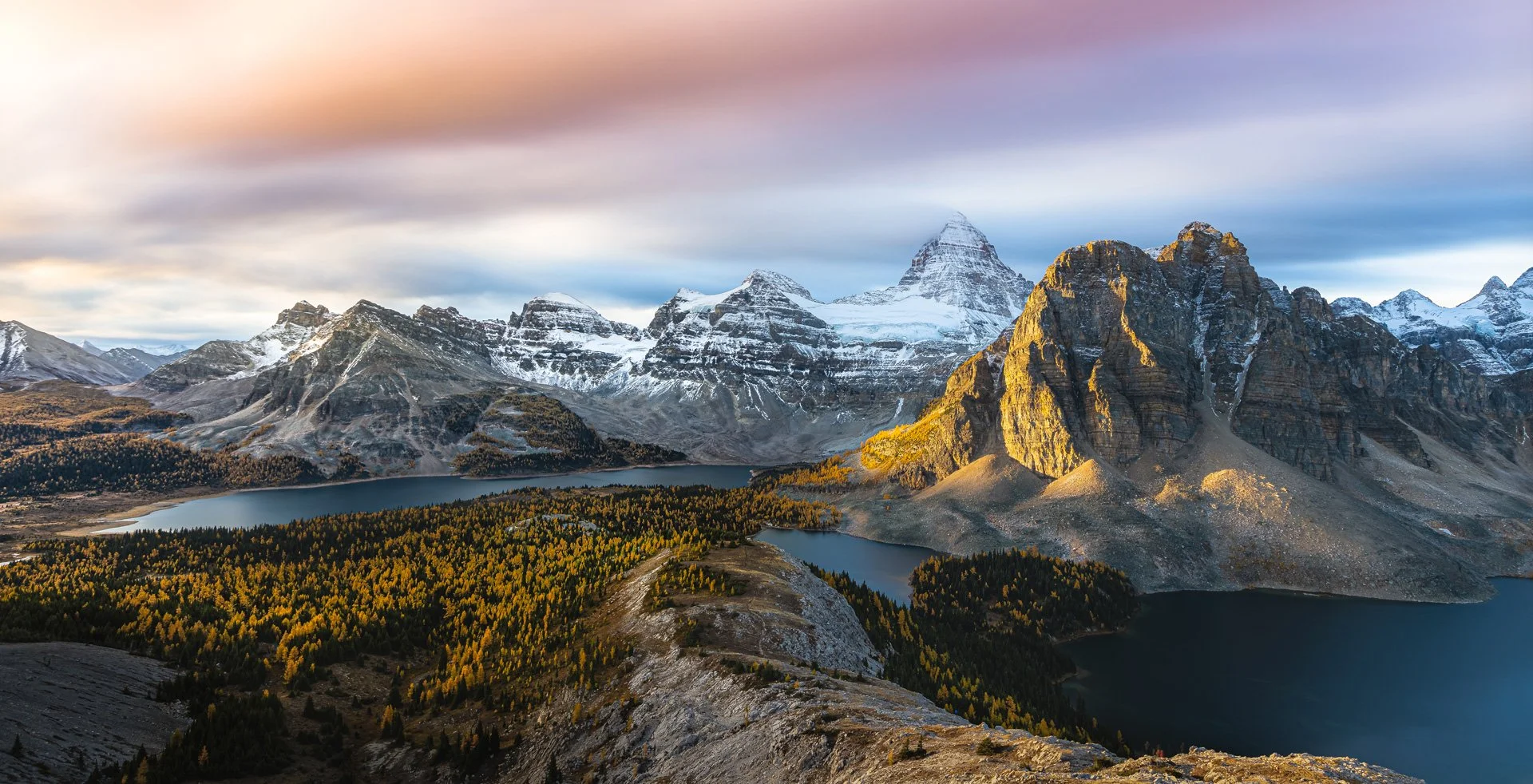 Mastering Focus: How to Capture Perfectly Sharp Photos Every Time ...