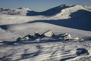 Ngarigo Nation Indigenous Corporation Inc