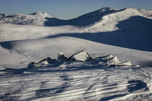 Ngarigo Nation Indigenous Corporation Inc