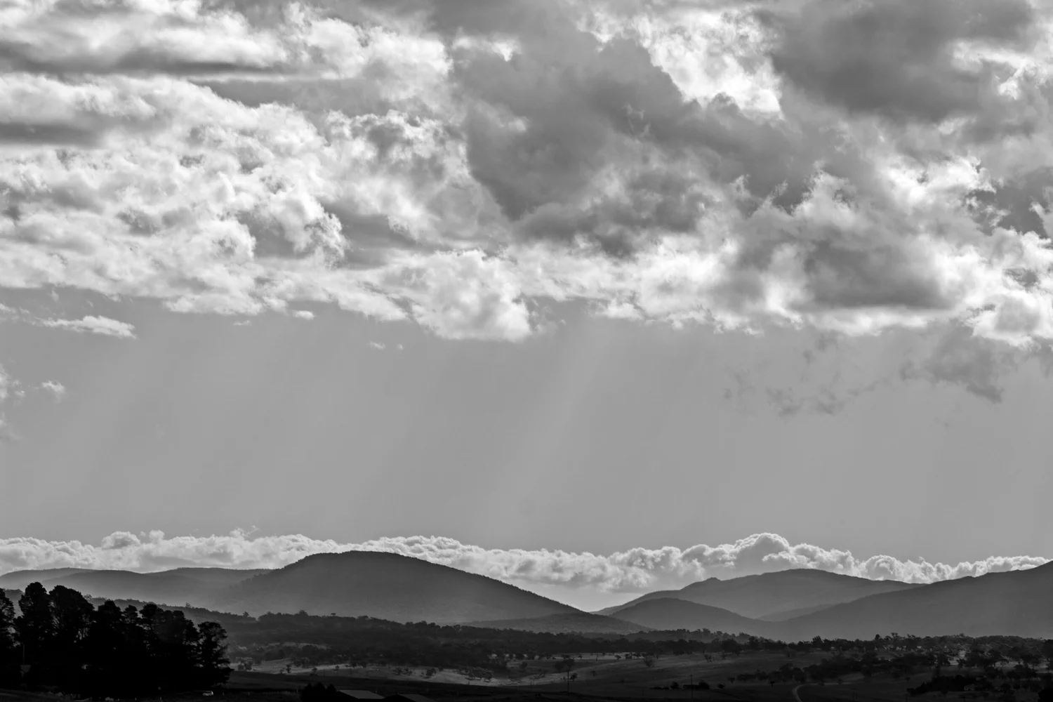 Ngarigo Off Country — Ngarigo Nation Indigenous Corporation Inc