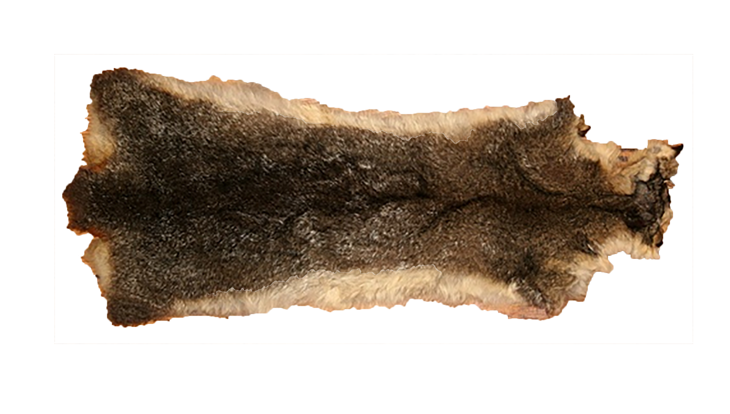 Welcome To Country — Ngarigo Nation Indigenous Corporation Inc